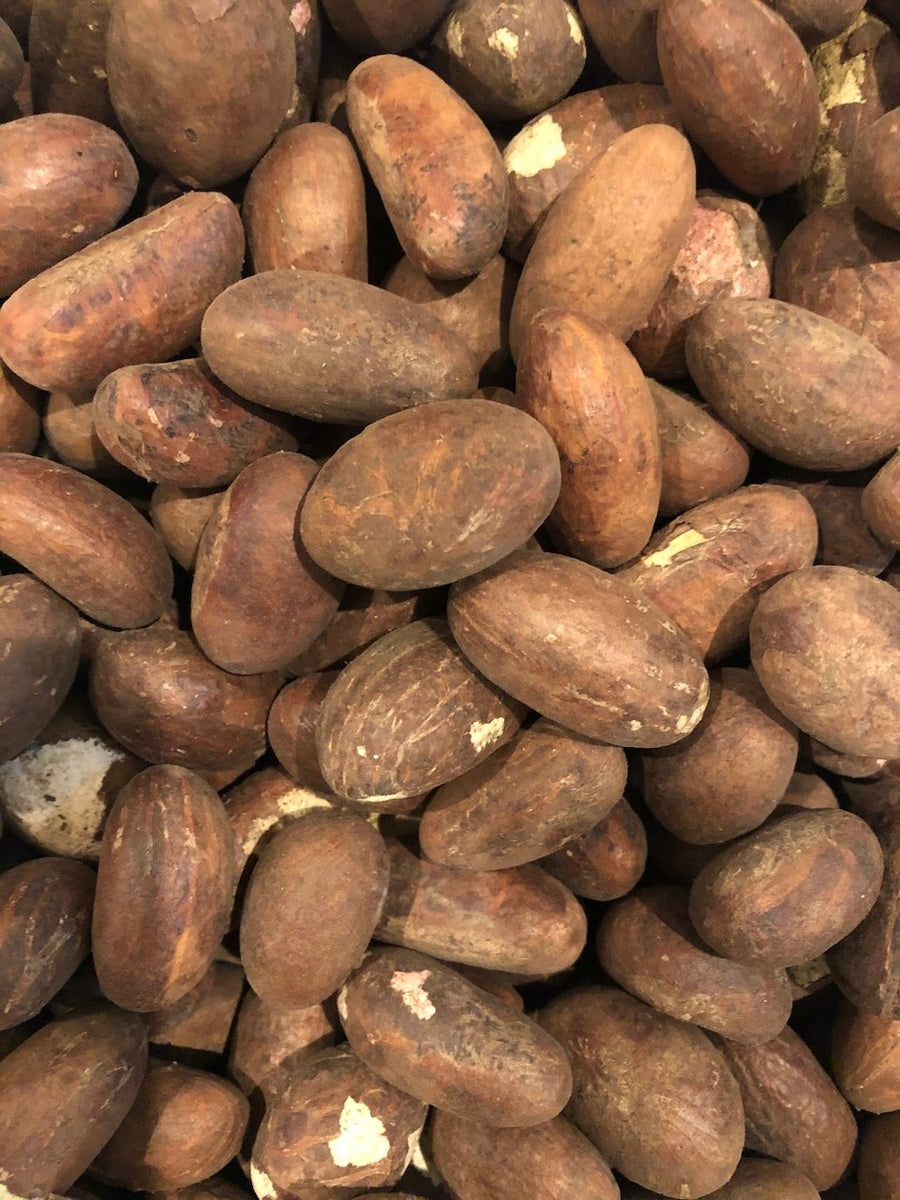 Orogbo Bitter Kola Garcinia Kola 25lb Bag Overdmoon Stores